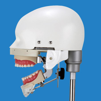 Simulador Dental | NISSIM Tipo 1(Vista previa del producto)|