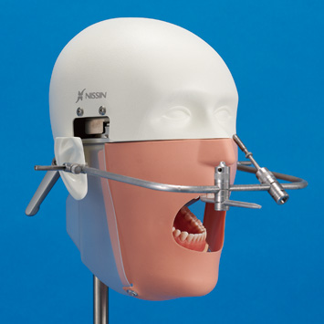 Simulador Dental | NISSIM Tipo 1(Vista previa del producto)|