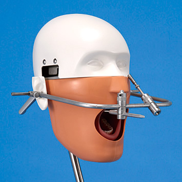 Simulador Dental | NISSIM Tipo 2(Vista previa del producto)|