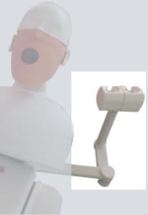 Dental Simulator | NISSIM Type 2(Accessories)