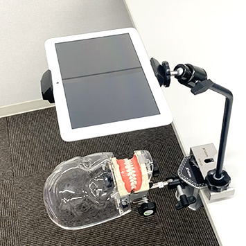 Dental Simulator | SIMPLE MANIKIN III(Accessories) | SIMPLE MANIKIN ...