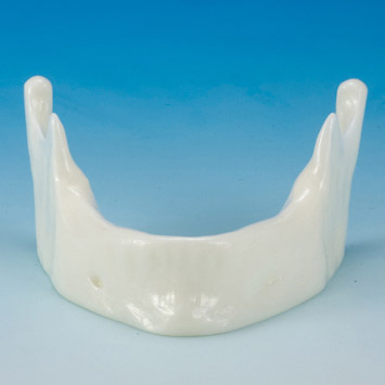 Implant Area | Drilling Practice Model [IMP1003-L-HD]