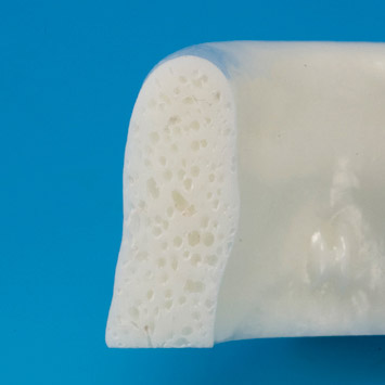 Implant Area | Drilling Practice Model [IMP1003-L-HD]