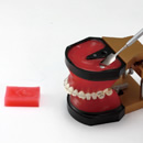 Orthodontics Area | Wax Form [ORT Various Wax]